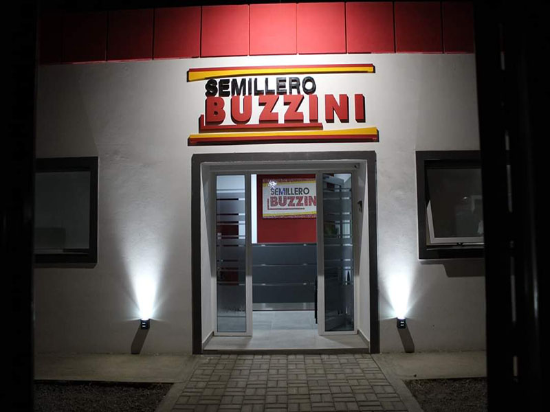 Nuestra Historia – Semillero Buzzini
